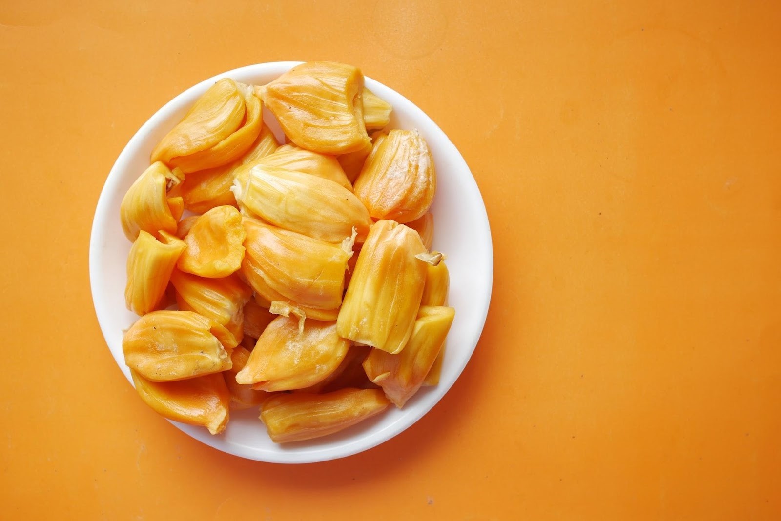 Can Rats Eat Jackfruit Shrewdnia can-rats-eat-jackfruit-shrewdnia